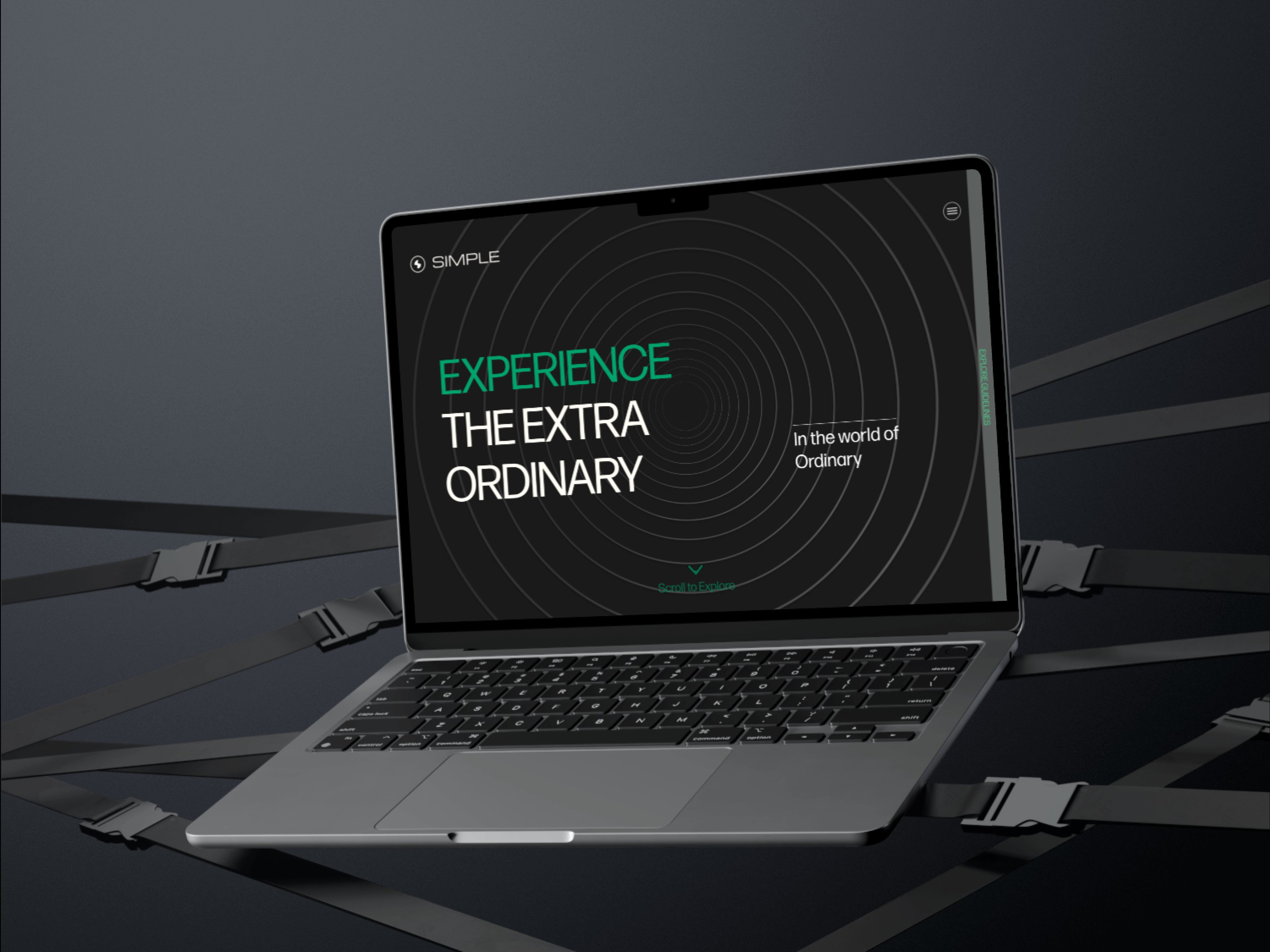 NID AP Student Portfolios