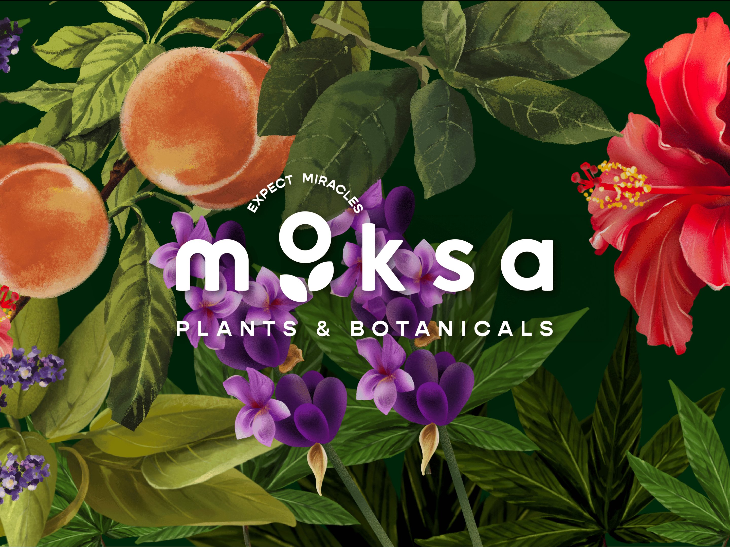 NID AP Student Portfolios