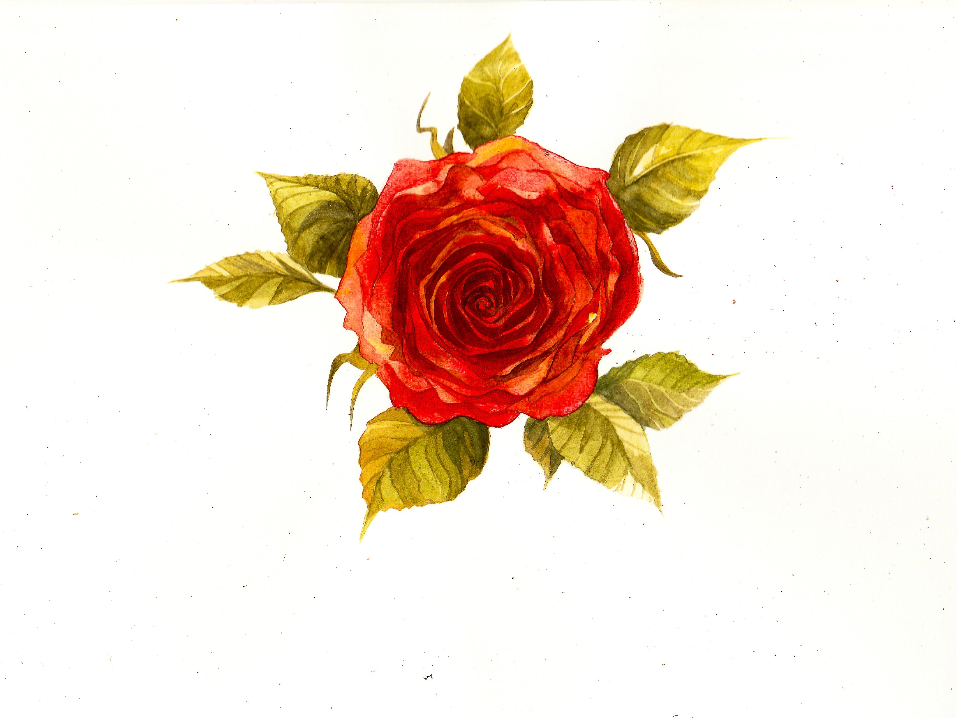 NID AP Student Portfolios