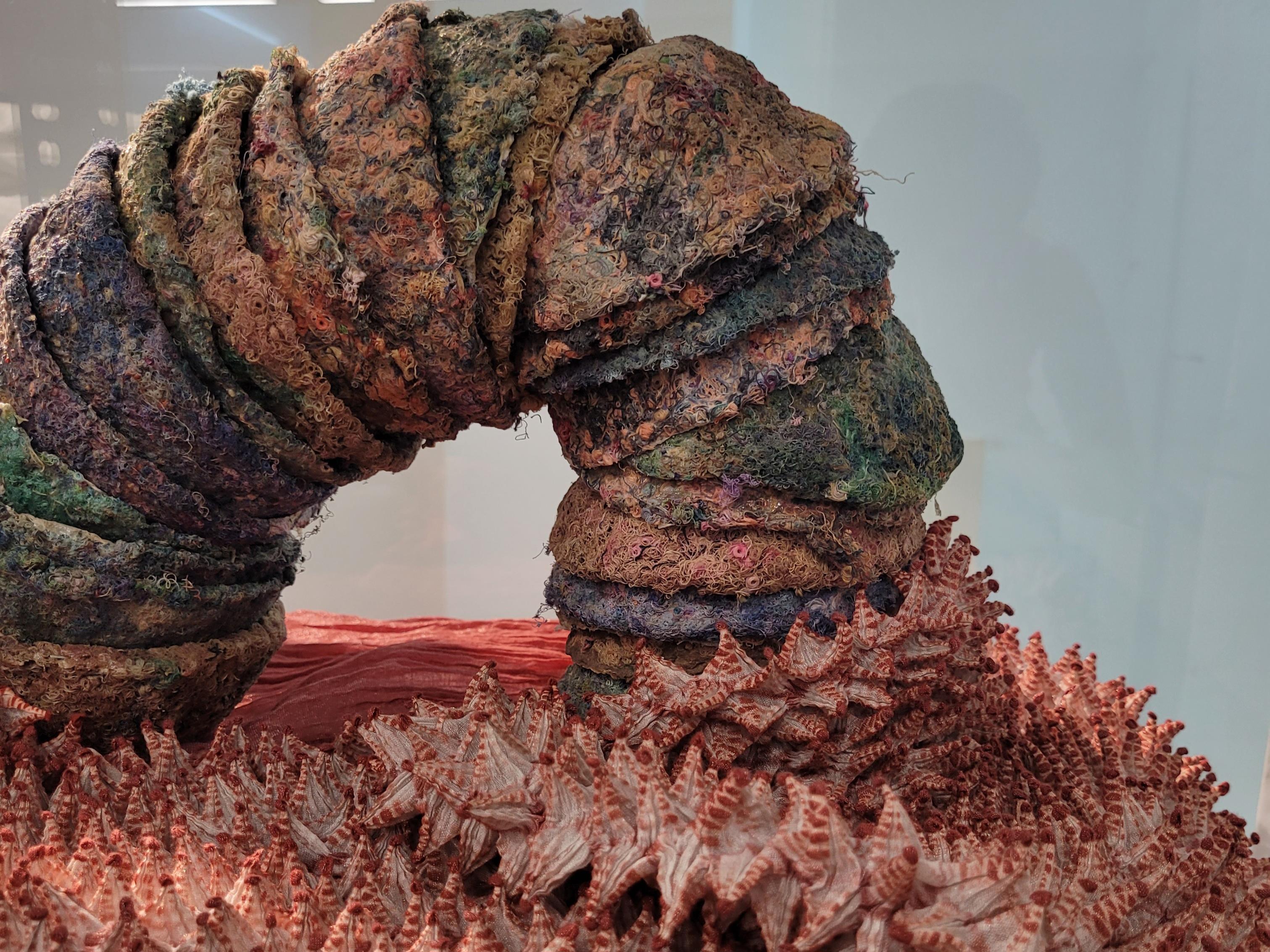 NID AP Student Portfolios