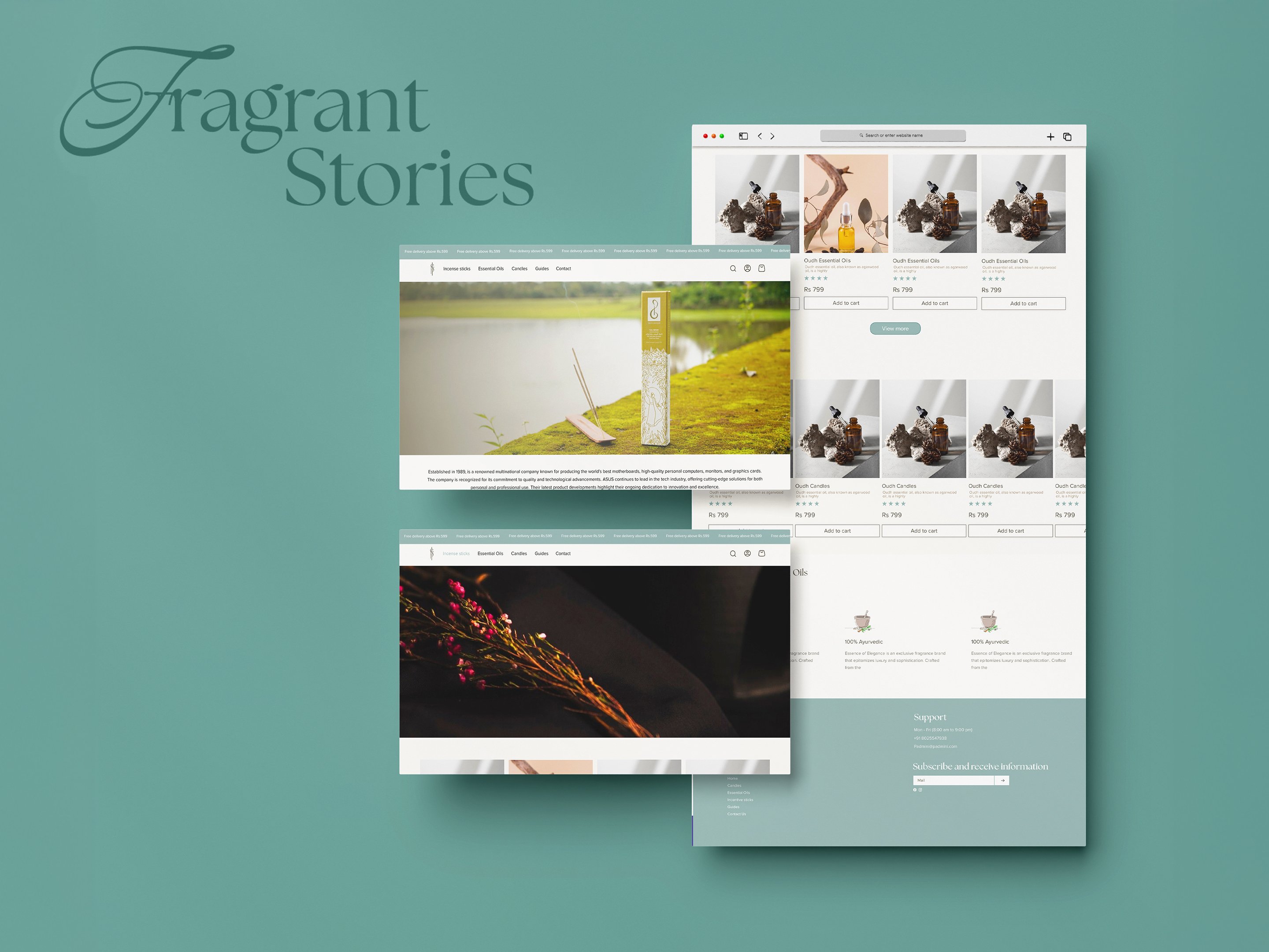 NID AP Student Portfolios